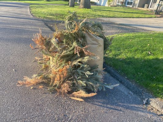 CURBSIDE WASTE - Updated October 2025 - 33 Photos & 190 Reviews ...