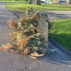 CURBSIDE WASTE - 19 Photos & 96 Reviews - Brooklyn Park, Minnesota ...