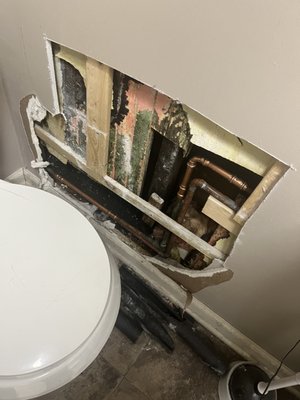 CALFO - Updated January 2026 - 66 Photos - 49 Reviews - 91 Terence Dr ...