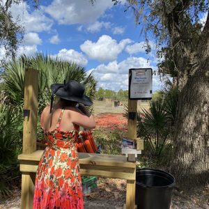 J & J ONE STOP GUN SHOP - 12 Photos & 11 Reviews - 2324 Tamiami Trl ...