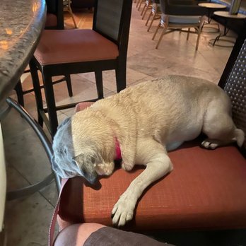 CAYS LOUNGE - Updated November 2024 - 81 Photos & 37 Reviews - 4000 ...