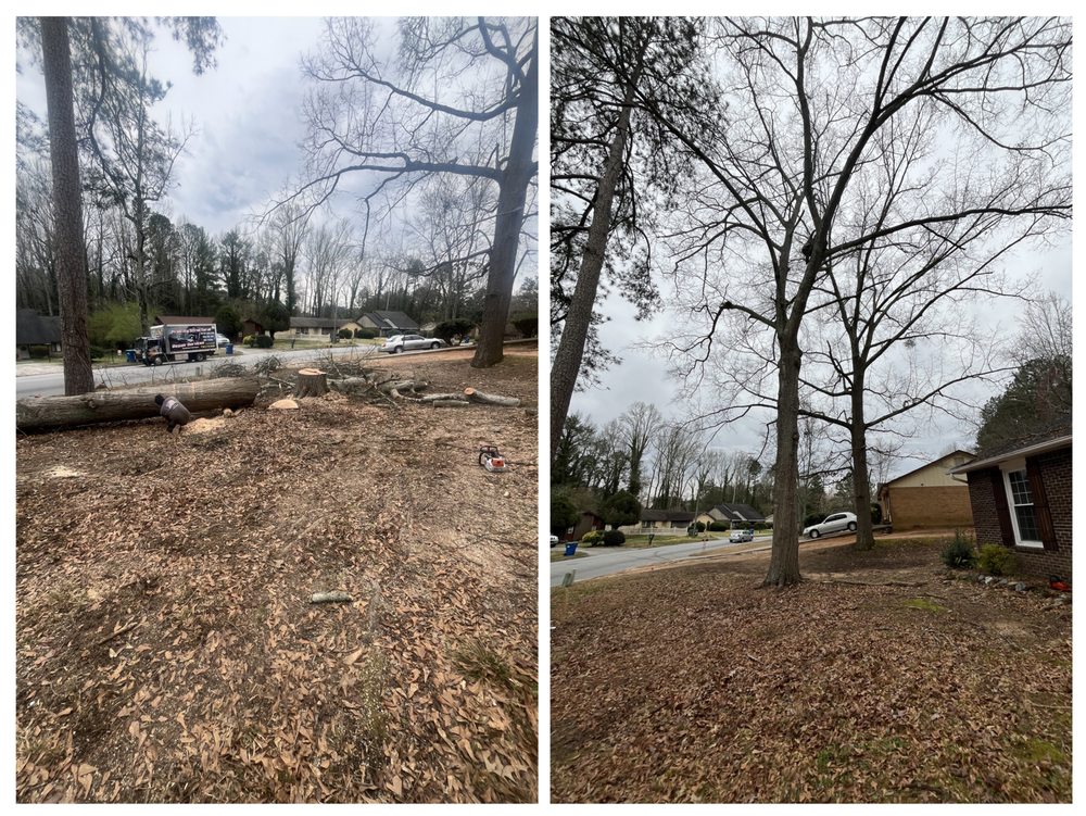 ECONOMICAL TREE SERVICE - Updated July 2025 - 711 Remwick Dr, Houston ...