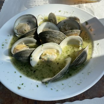 THE FISH STORE - Updated August 2024 - 78 Photos & 92 Reviews - 836 ...