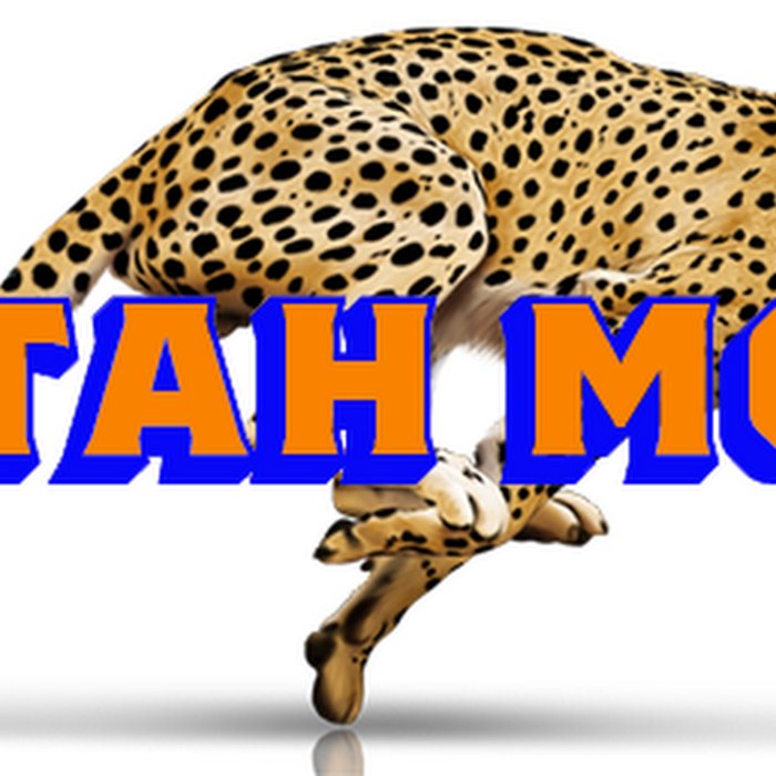 CHEETAH MOVING DFW - Updated October 2025 - 30 Photos & 16 Reviews ...