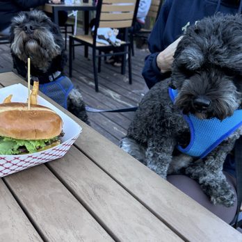 TOAD’S BARN & GRILL - Updated September 2025 - 45 Photos & 16 Reviews - 9943 Campton Rd, Stanton ...