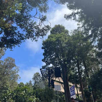 STERN GROVE FESTIVAL - Updated August 2024 - 337 Photos & 338 Reviews ...