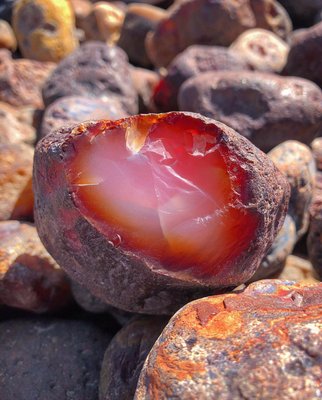 T ROCKS - 61 Photos & 39 Reviews - 1530 W Main St, Quartzsite, AZ - Yelp