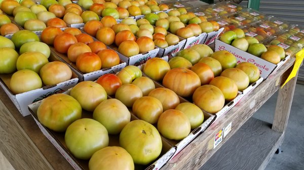 BECNEL BEN SOUTH LOUISIANA CITRUS & VEGETABLE FARM - Updated December ...