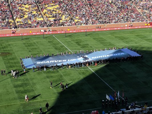 HUNTINGTON BANK STADIUM - 238 Photos & 54 Reviews - Stadiums & Arenas ...