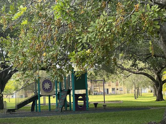 EAGLE RIDGE PARK - 11 Photos - 11650 NW 20th Dr, Coral Springs, Florida ...