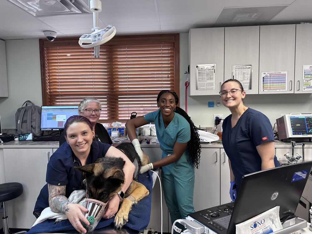 ANIMAL ER CARE - CENTRAL - Updated August 2025 - 11 Photos - 3670 ...