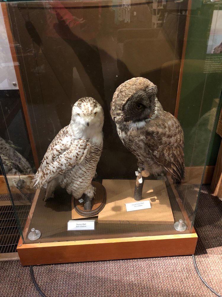 AUDUBON SOCIETY OF PORTLAND - 55 Photos & 25 Reviews - Hiking - 5151 NW ...