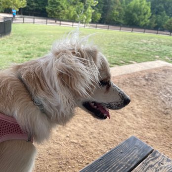 JOHNNY STEELE DOG PARK - Updated July 2024 - 157 Photos & 128 Reviews ...