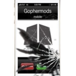 GOPHERMODS - Updated August 2025 - 14 Photos & 127 Reviews - 1624 New Brighton Blvd, Minneapolis ...