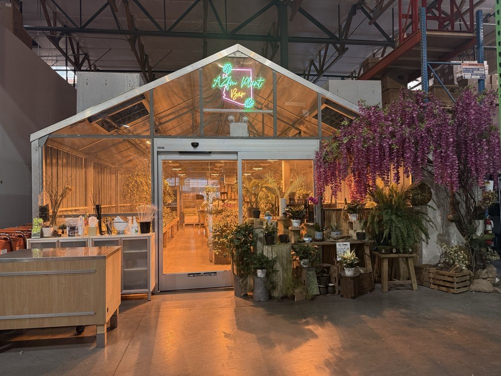 AZ FLORIST - Updated May 2026 - 240 Photos & 201 Reviews - 2050 S 16th ...