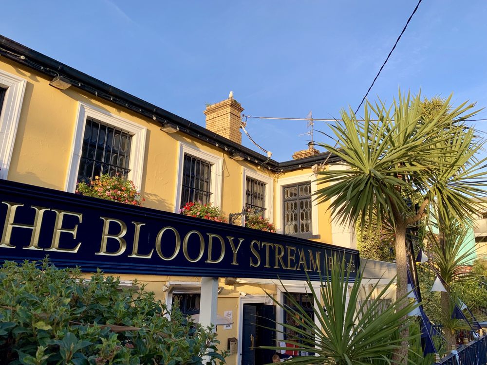 THE BLOODY STREAM - 60 Photos & 45 Reviews - Pubs - Howth Railway ...