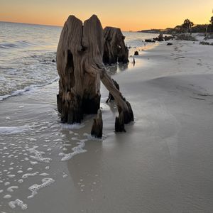 SHELL POINT BEACH - Updated December 2025 - 47 Photos & 14 Reviews ...