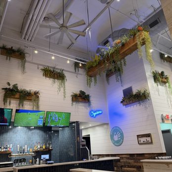 SLAPFISH - Updated January 2026 - 276 Photos & 151 Reviews - 11547 Yard ...