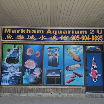 MARKHAM AQUARIUM 2 U - Updated December 2025 - 40 Photos & 10 Reviews ...