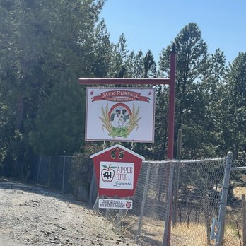 JACK RUSSELL FARM BREWERY - Updated May 2025 - 559 Photos & 378 Reviews ...