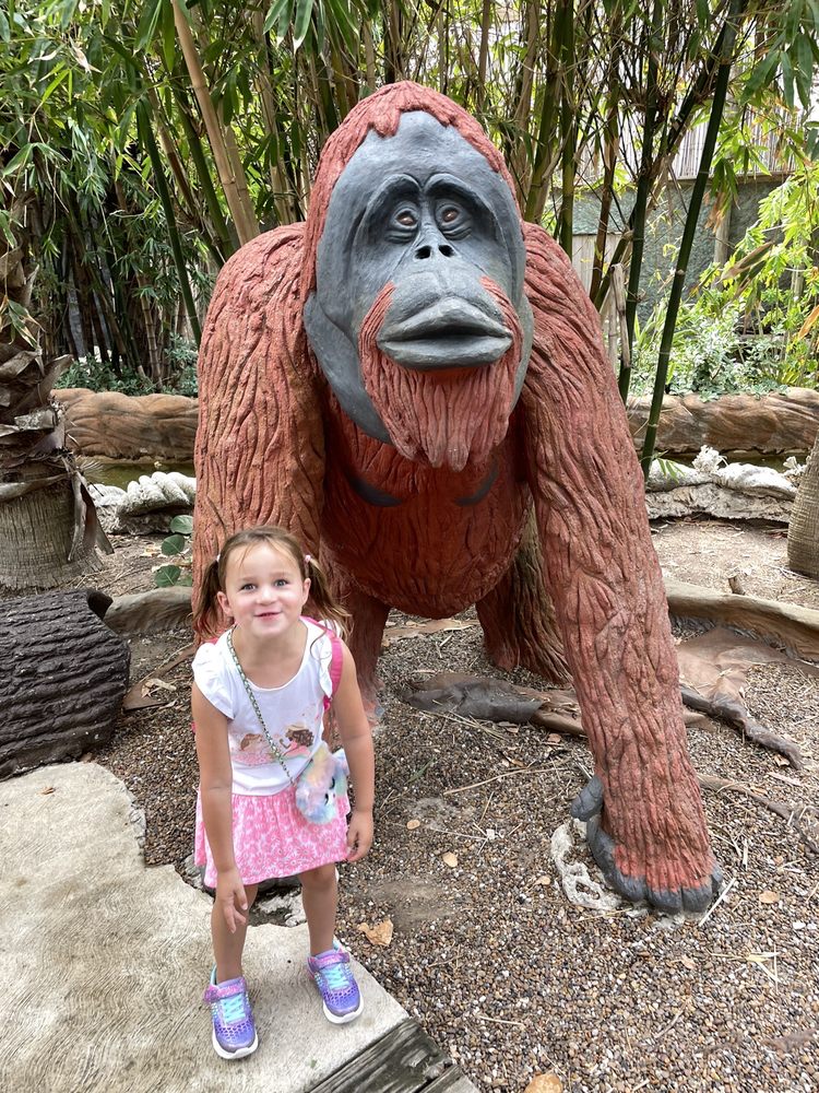 BOBZ WORLD - Updated December 2025 - 149 Photos & 40 Reviews - 36451 TX-100, Los Fresnos, Texas ...