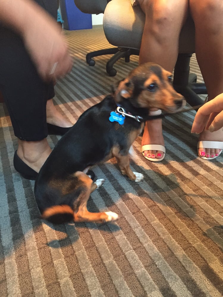 TRIPLE S SERVICES - Updated December 2025 - 2274 Distribution Cir ...