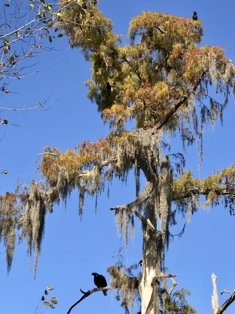 IGNACIO HAYA LINEAR PARK - Updated October 2025 - 5000 River Blvd ...