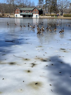 SLATER MEMORIAL PARK - 186 Photos & 33 Reviews - Newport Ave, Pawtucket ...