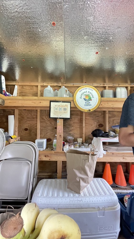 TYRA PHILLIPS READLAND AHEAD - Updated September 2024 - 15201 SW 216th ...