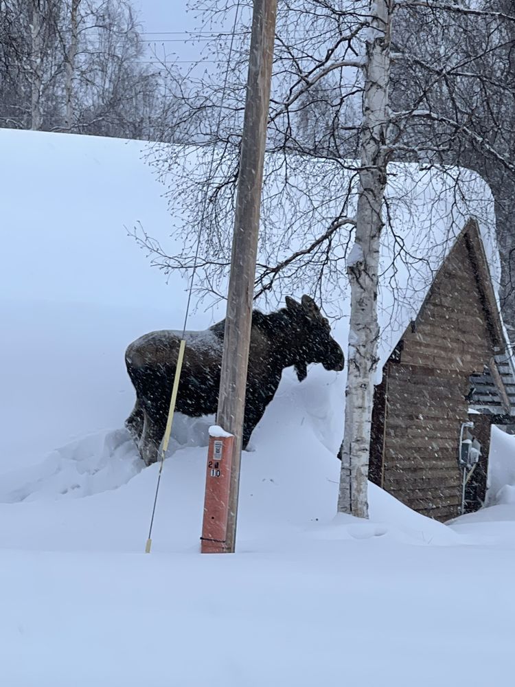 CRUISE PLANNERS - SIDEWALKS AND PATHWAYS - Updated July 2025 - Contact ...