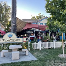 BLUE AGAVE CLUB - Updated June 2026 - 352 Photos & 734 Reviews - 625 ...
