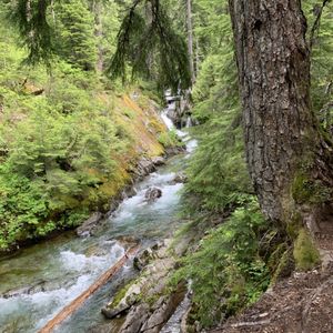 PRIEST RAPIDS RECREATION AREA CAMPGROUND - Campgrounds - 302-A Desert ...