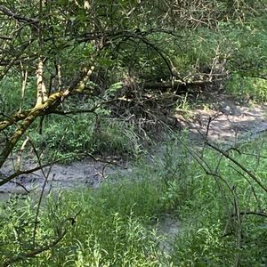 ROCK SPRINGS CONSERVATION AREA - Updated June 2025 - 3939 Nearing Ln ...