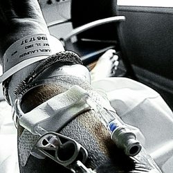 BETH ISRAEL DEACONESS MEDICAL CENTER - 40 Photos & 208 Reviews ...