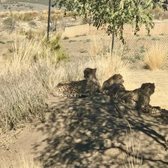 ANIMAL ARK - 490 Photos & 138 Reviews - Zoos - 1265 Deerlodge Rd, Reno ...