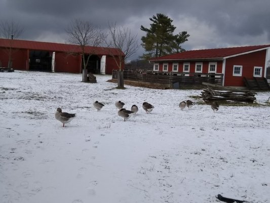 SLATE RUN LIVING HISTORICAL FARM - Updated April 2025 - 64 Photos & 19 ...