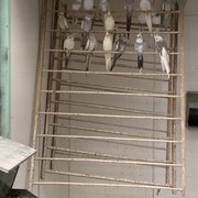 MAGNOLIA BIRD FARM - 143 Photos & 178 Reviews - 8990 Cerritos Ave ...