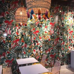 AMAZONICA - Updated July 2025 - 189 Photos & 121 Reviews - 5030 NE 2nd ...