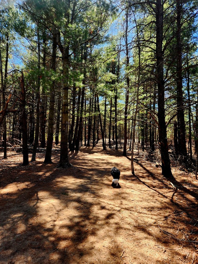 BRUCE PIT - Updated August 2024 - 32 Photos & 13 Reviews - RR 23 ...