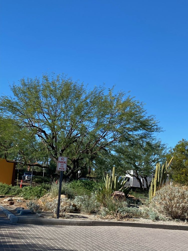 CASTELLANOS TREE SERVICE COMPANY - Updated November 2025 - Thousand ...