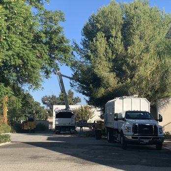 AFFORDABLE TREE CARE - 1628 Photos & 1520 Reviews - Los Angeles ...