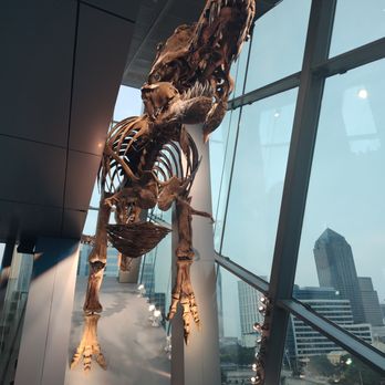 PEROT MUSEUM OF NATURE AND SCIENCE - Updated November 2024 - 2342 ...