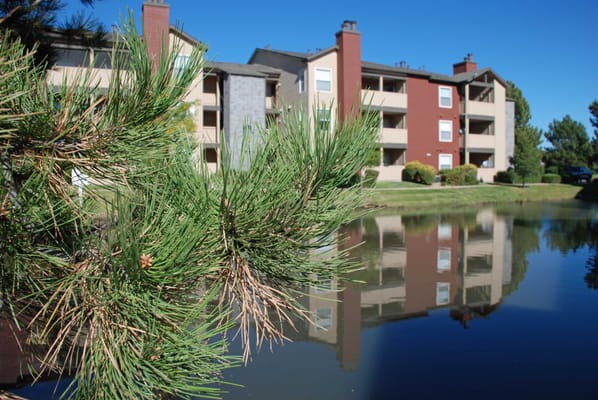 THE PINES AT MARSTON LAKE - Updated December 2025 - 15 Photos & 18 ...