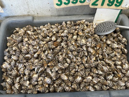 ASIAN LIVE SEAFOOD MARKET - Updated January 2026 - 142 Photos & 60 ...