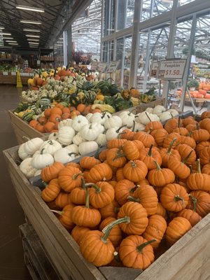 CHUCK HAFNERS FARMERS’ MARKET & GARDEN CENTER - 51 Photos & 26 Reviews ...