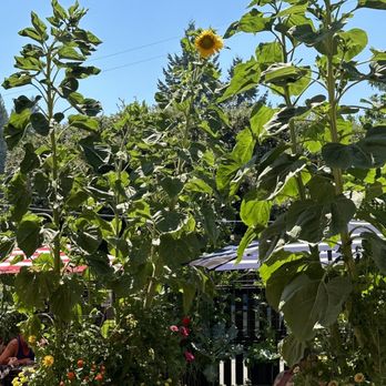 THE PEG HOUSE - Updated January 2025 - 325 Photos & 267 Reviews - 69501 ...