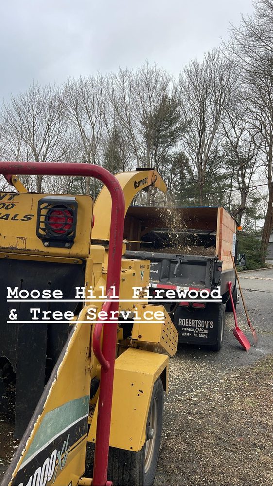 MOOSE HILL FIREWOOD & TREE SERVICE - Updated July 2025 - Request a Quote - Westport ...