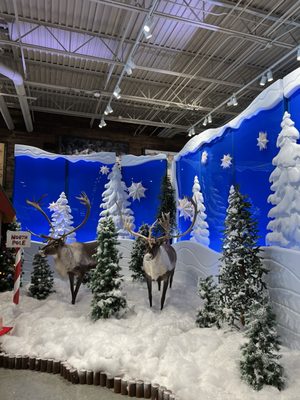 BASS PRO SHOP - Updated October 2025 - 1771 Spring Stuebner Rd, Spring ...