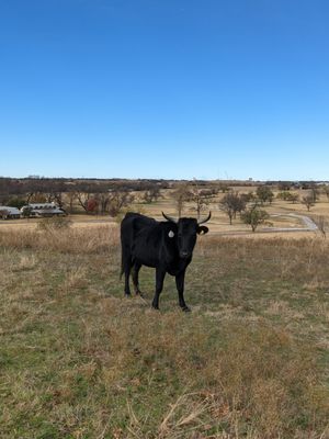 NRS WORLD - Updated December 2025 - 15 Reviews - 4650 US-287, Decatur ...