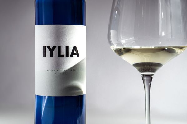 DACULA CORK & BOTTLE - Updated July 2025 - 22 Photos & 33 Reviews ...